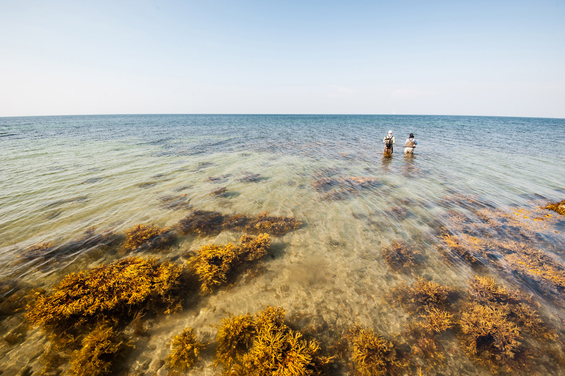 Book a guide old - Seatrout Fyn